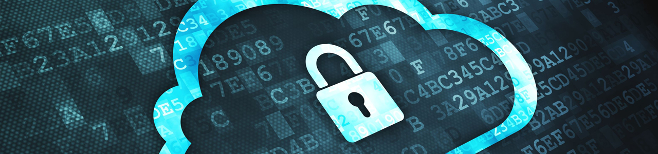 Keeping Your Terminal Secure - Skyzer